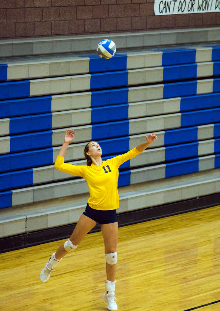 Volleyball coach expects core of seasoned veterans, promising newcomers ...