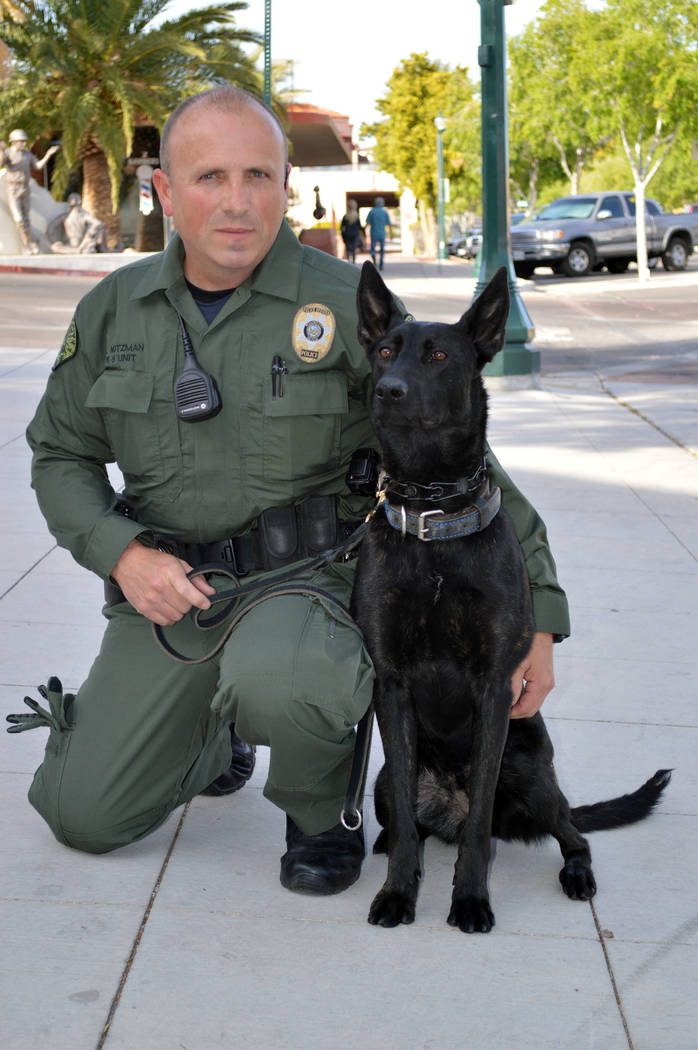 Doggone good job: Officer gets dream position as member of K-9 unit ...